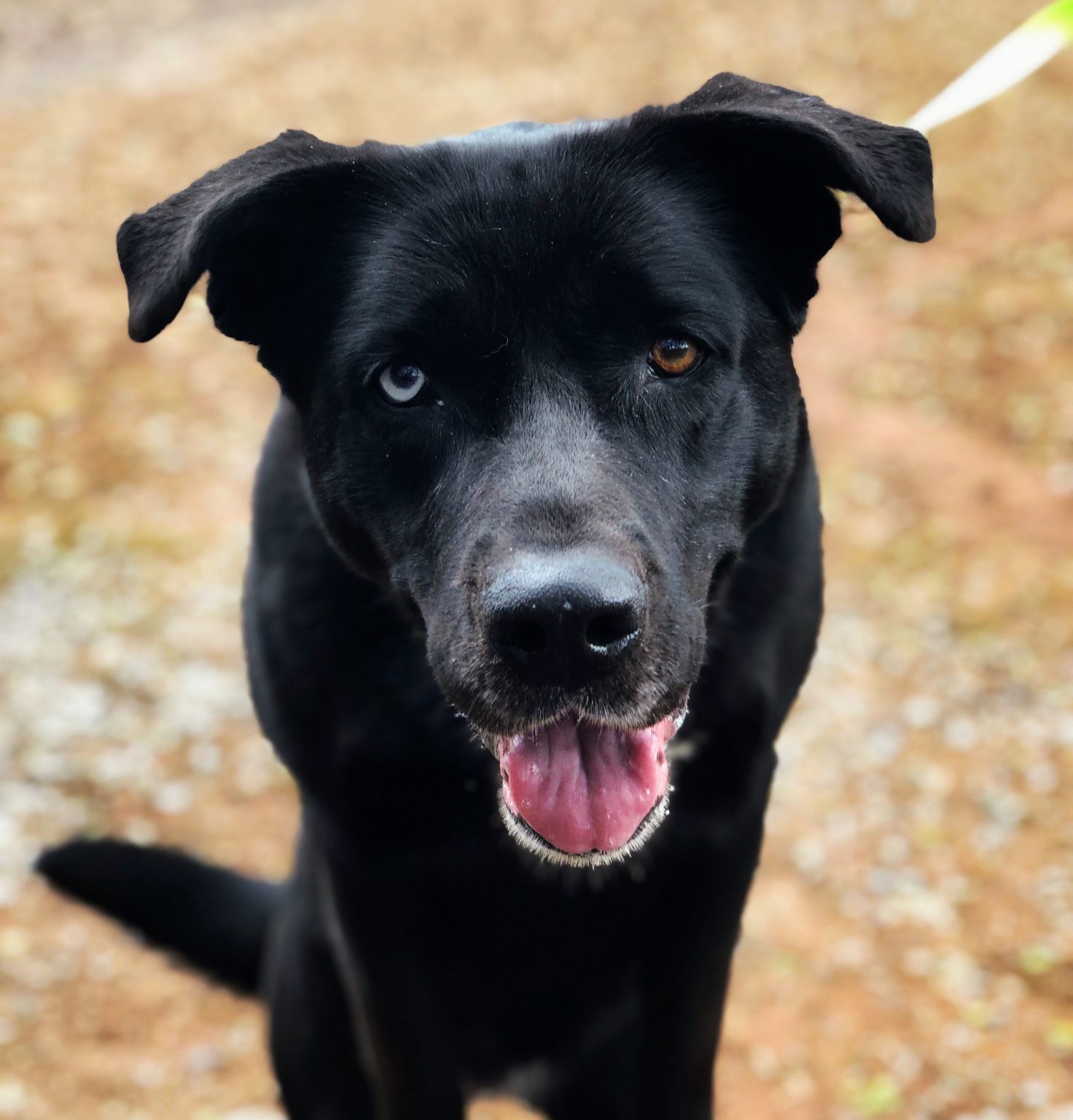 KKBN 93.5 FM – 93.5 KKBN Country