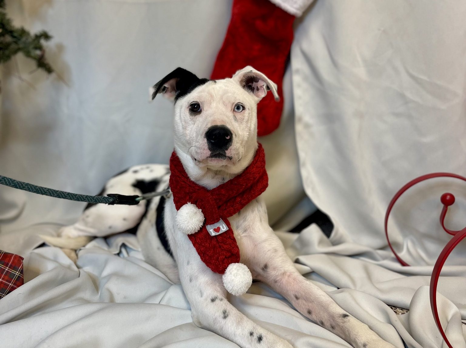 KKBN 93.5 FM – 93.5 KKBN Country