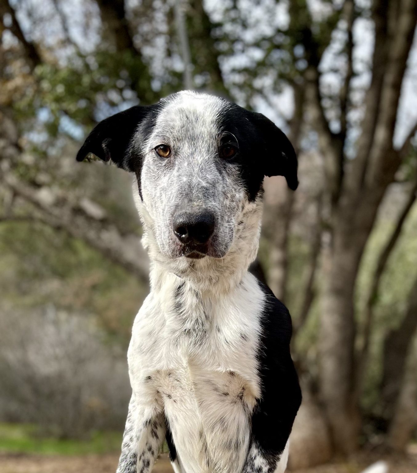 KKBN 93.5 FM – 93.5 KKBN Country