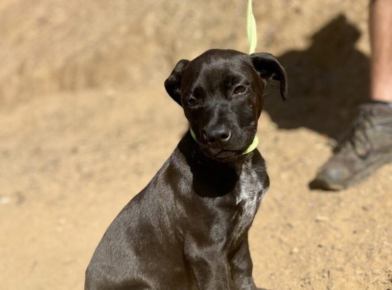 KKBN 93.5 FM – 93.5 KKBN Country