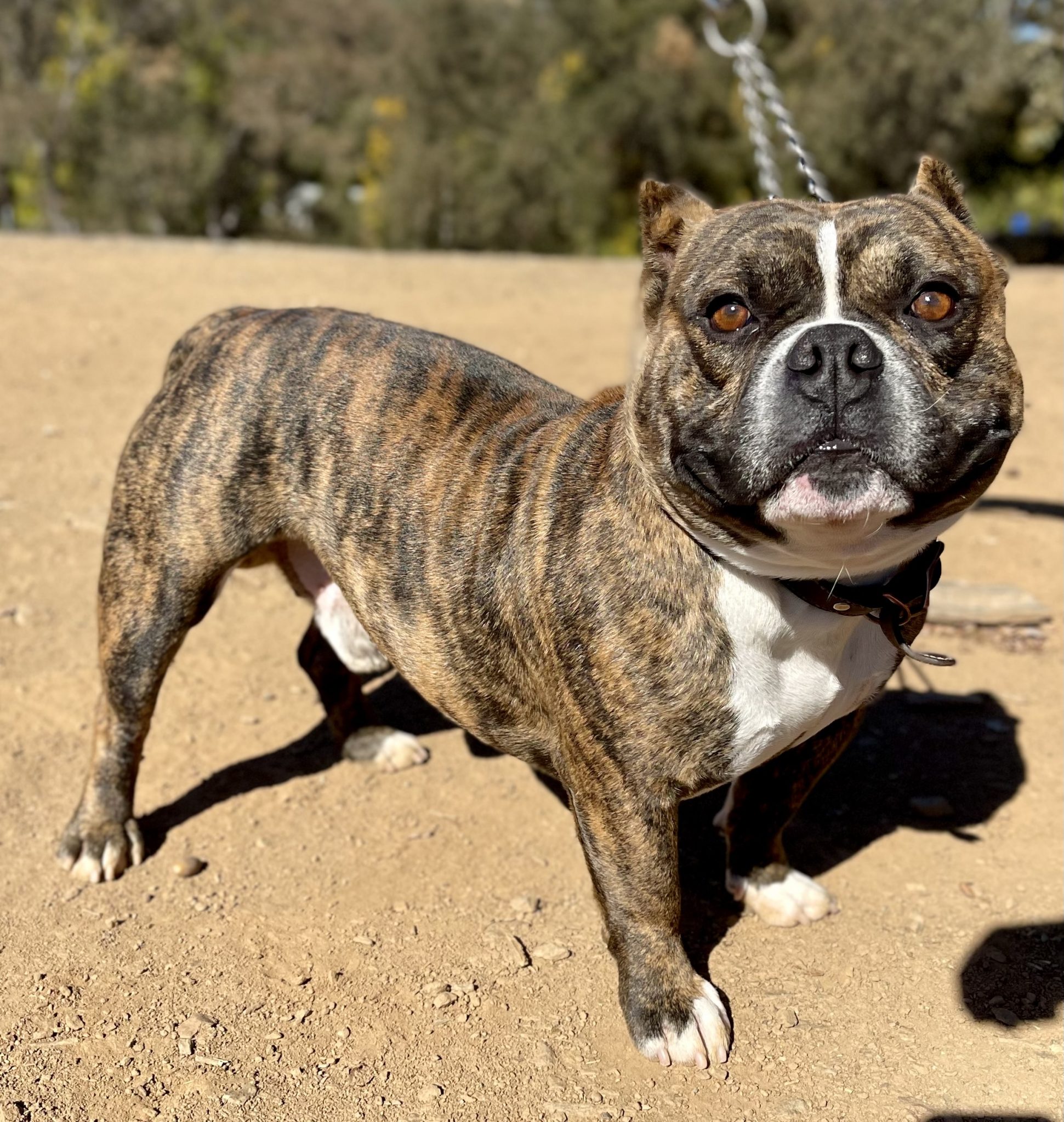 KKBN 93.5 FM – 93.5 KKBN Country