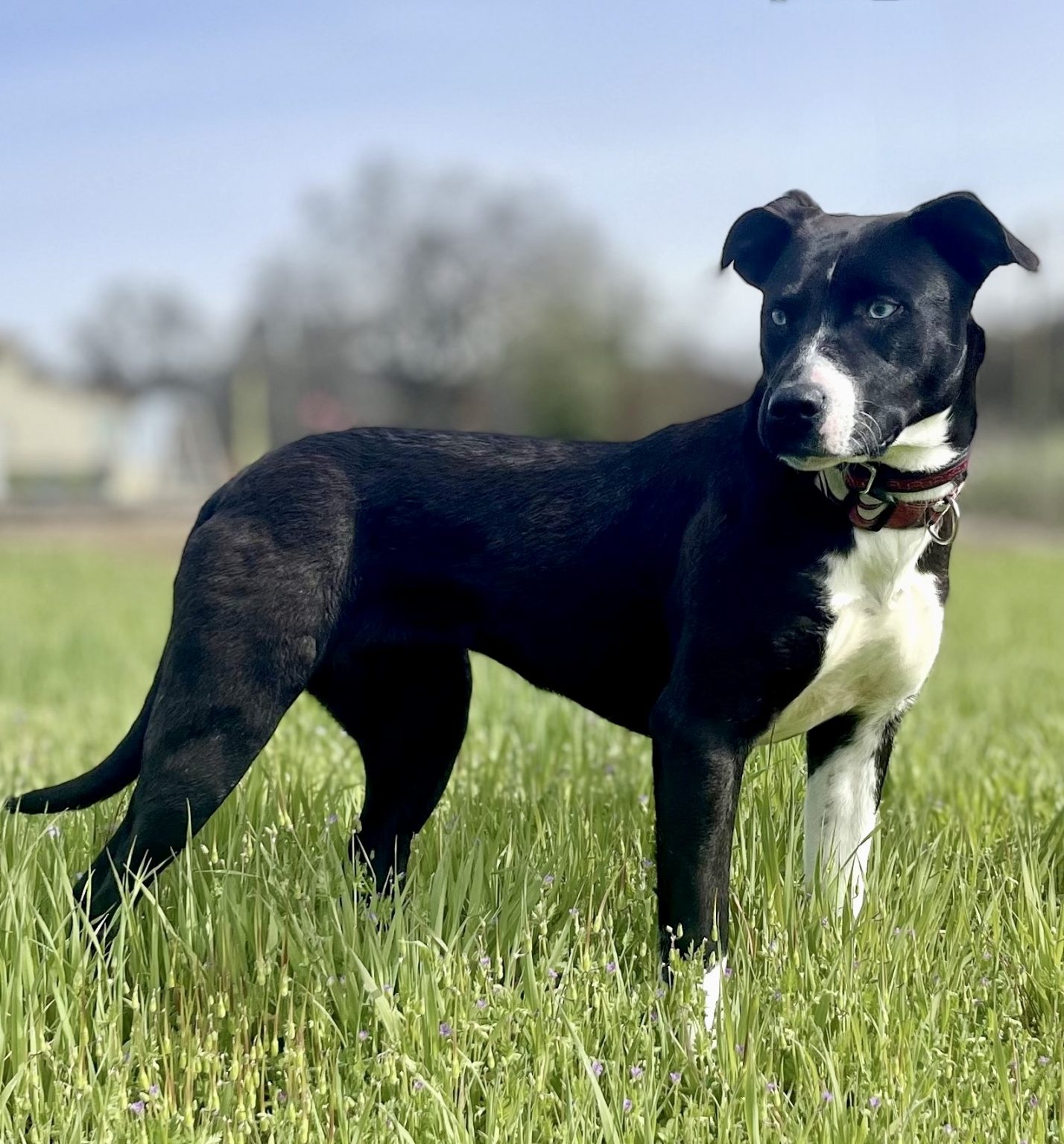 KKBN 93.5 FM – 93.5 KKBN Country